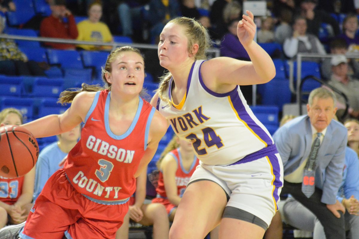 5 top returners, 5 breakout players for girls basketball in Gibson ...