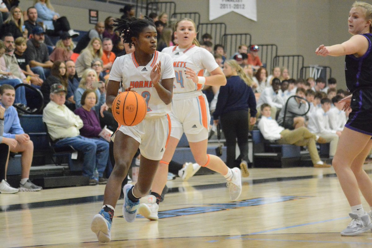 Gibson County area high school basketball box scores for Week 8 ...