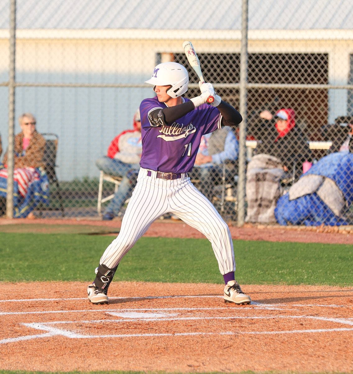 West Tennessee high school spring sports box scores for Week 6 (April 7 ...