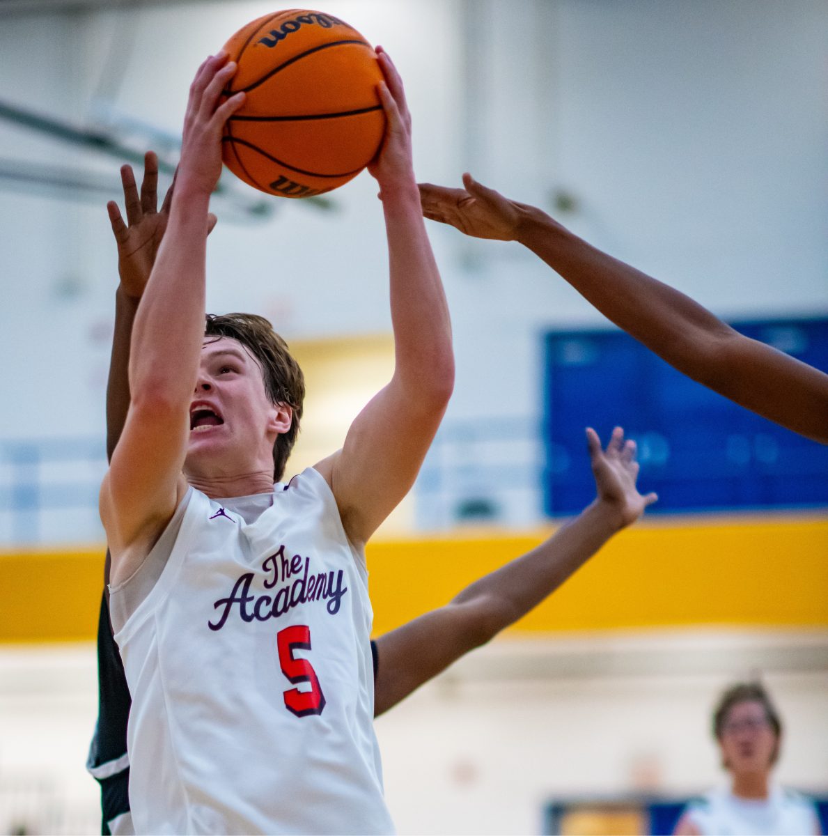 West Tennessee high school basketball district standings following Week ...